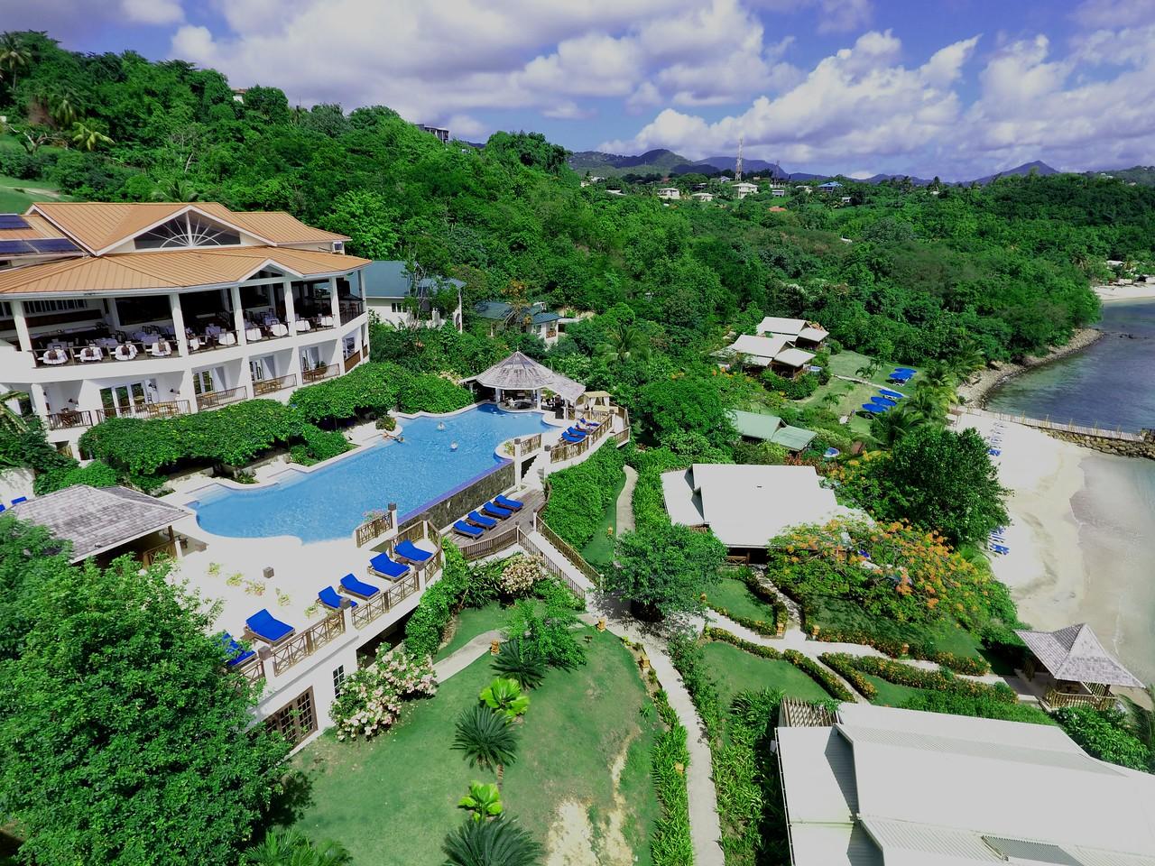 Explore Vegan Fine Dining In The Caribbean City Pulse Explore Vegan Fine Dining In The Caribbean City Pulse